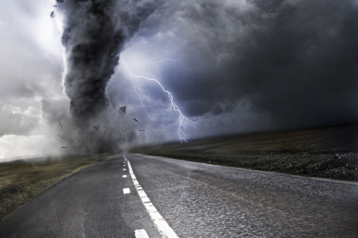 Workforce Planning | Prepare for Disasters | Avilar Competency ...